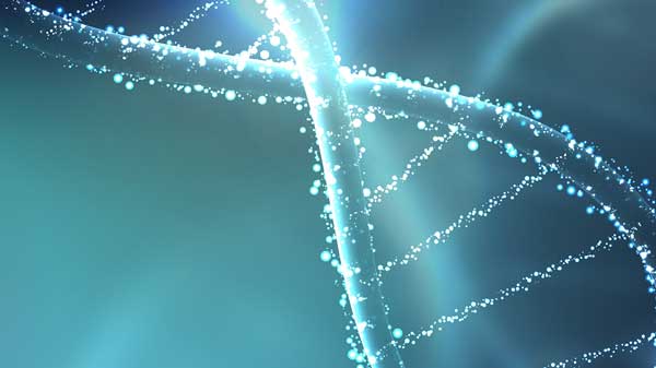 Metaprogramme DIGIT-BIO - Consortium Behind the Count her (2022 - 2023)