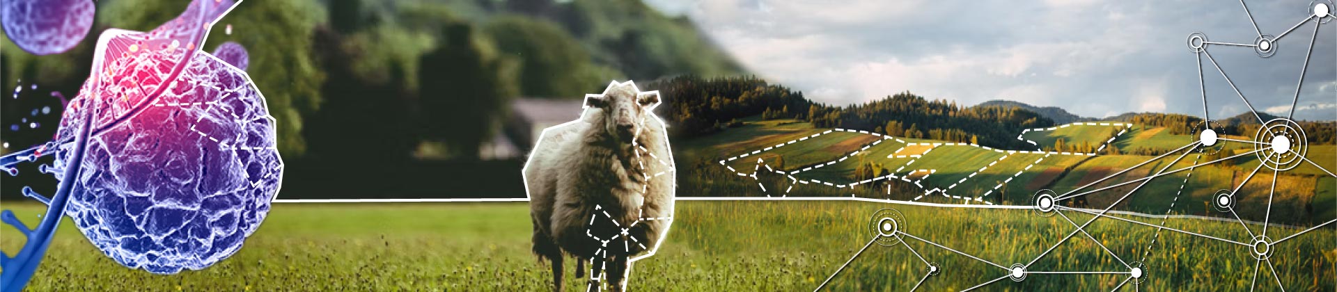 Metaprogramme DIGIT-BIO - Comprendre